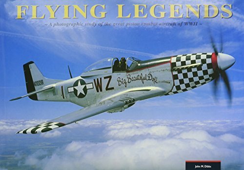 Flying Legends: A photographic study of the great piston combat ...