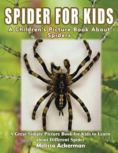 Spiders for Kids: A Children's Picture Book About Spiders by Melissa ...