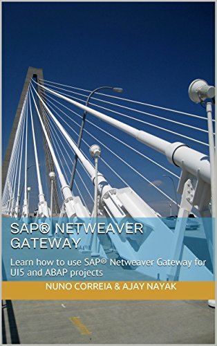 Sap® Netweaver Gateway Learn How To Use Sap® Netweaver Gateway For Ui5 And Abap Projects By 9317