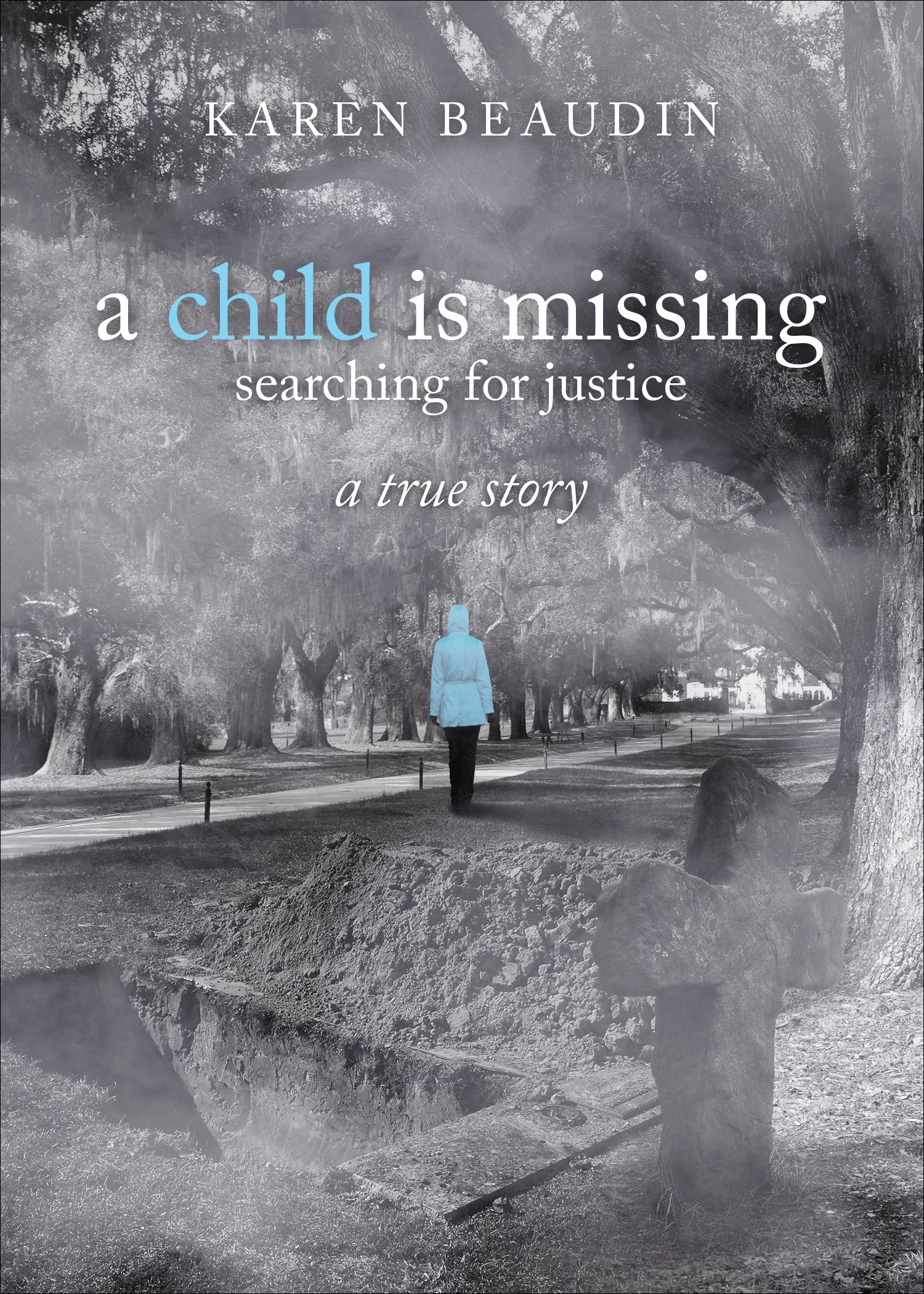 A Child Is Missing: Searching for Justice: a True Story by Karen Beaudin | Goodreads