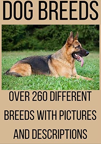 Dogs: Dog Breeds Over 250 Different Breeds With Pictures: Dog Breeds ...