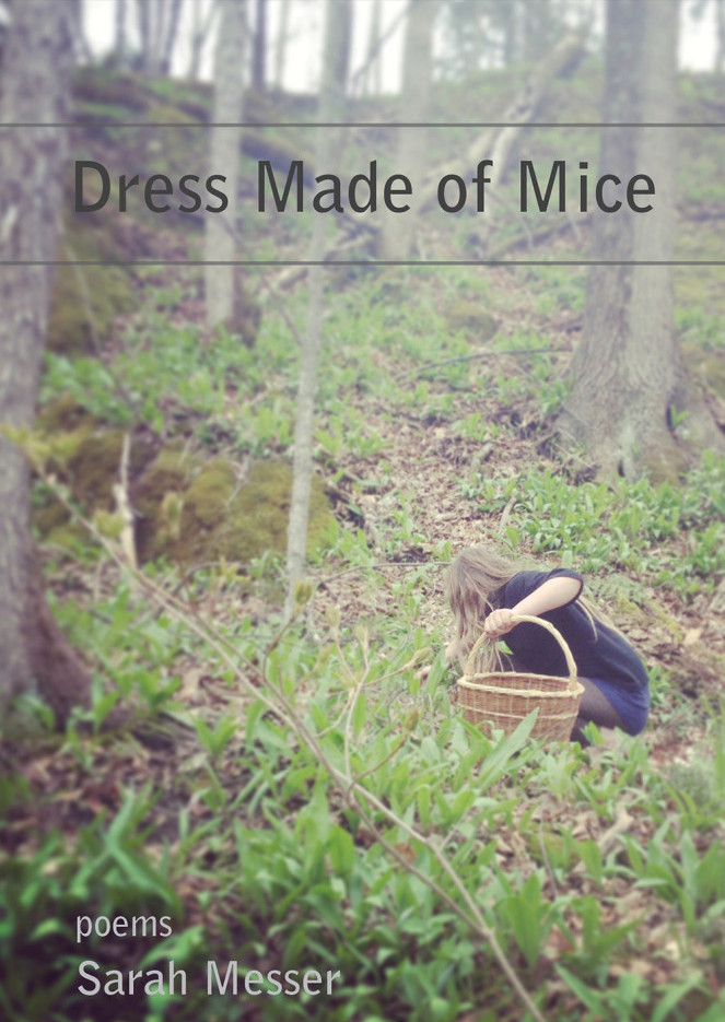 Dress Made of Mice by Sarah Messer | Goodreads
