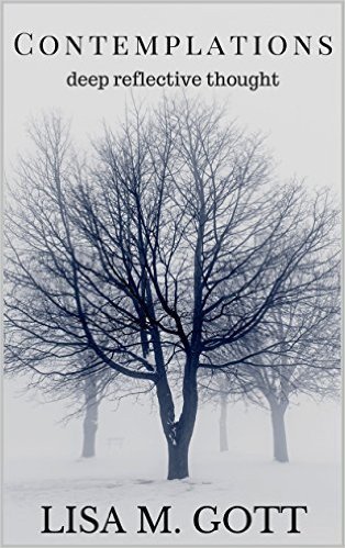 Contemplations by Lisa M. Gott | Goodreads