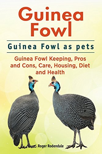 Guinea Fowl. Kindle. Guinea Fowl keeping pros and cons, care, housing ...