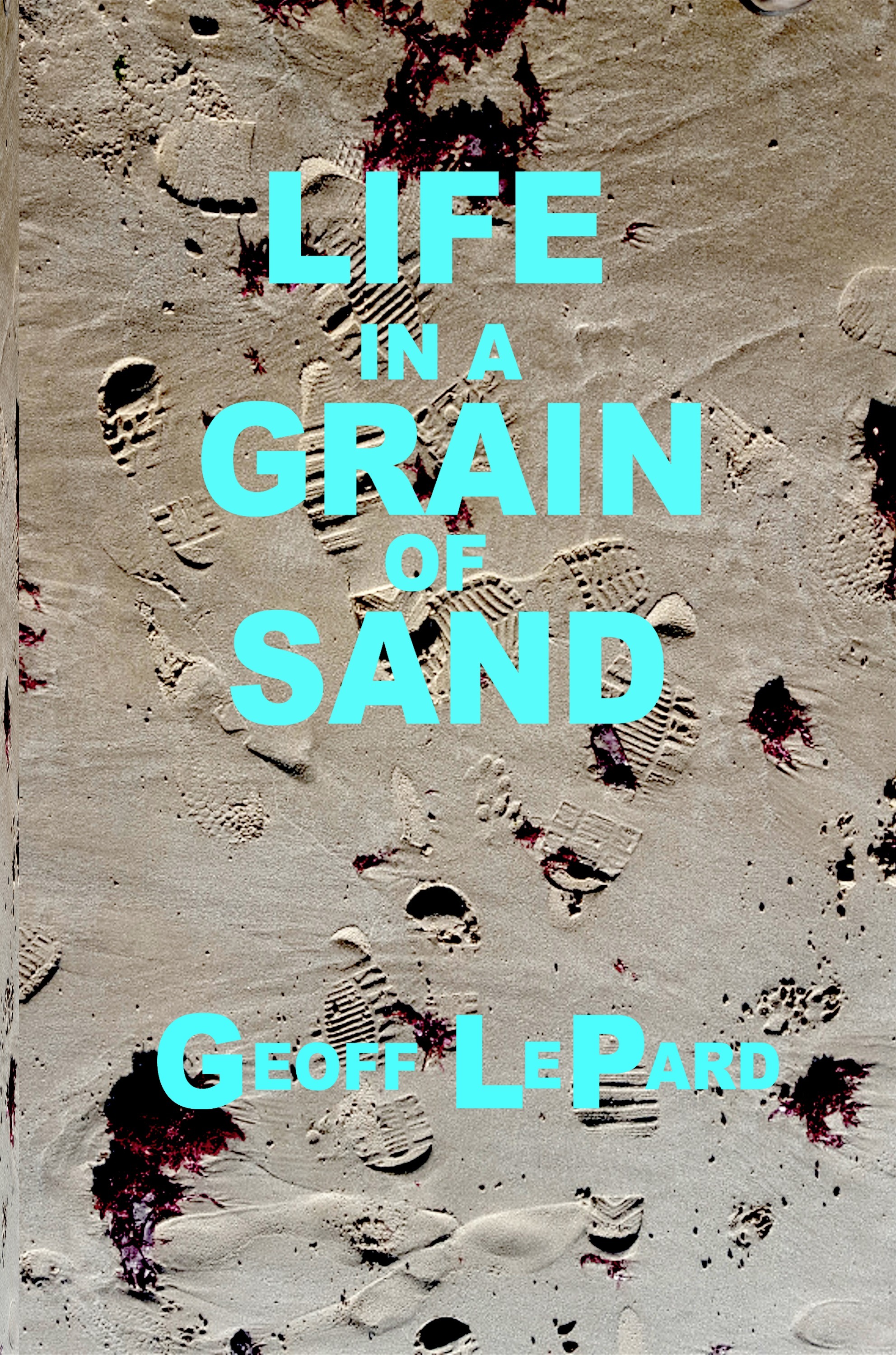 Life, in a Grain of Sand by Geoff Le Pard | Goodreads