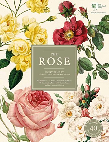The Rose: The History of the World s Favourite Flower in 40 Captivating ...