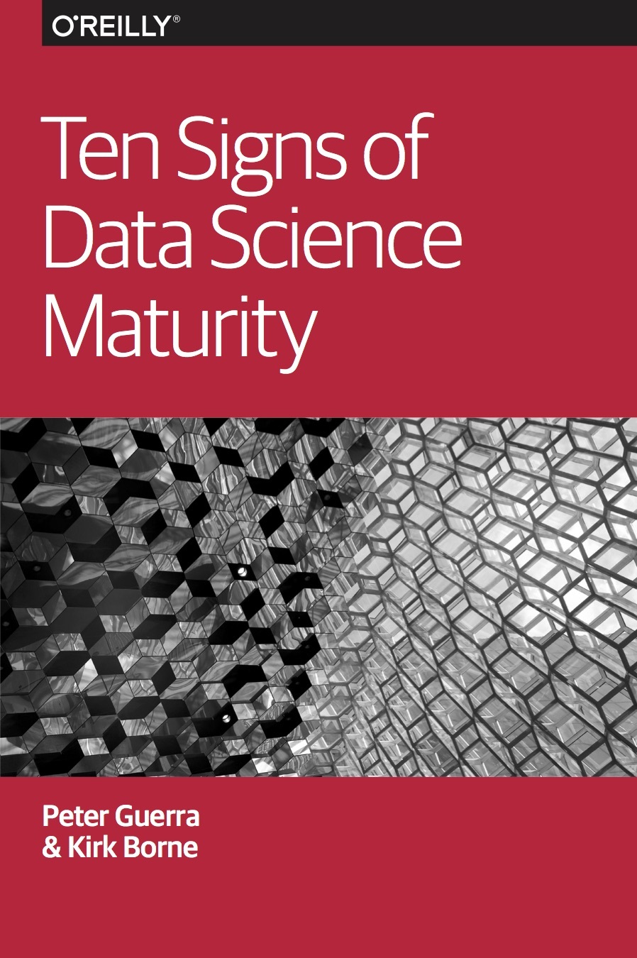 Ten Signs of Data Science Maturity by Peter Guerra | Goodreads