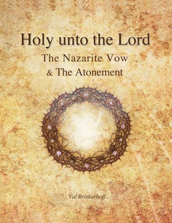Holy unto the Lord The Nazarite Vow by Val Brinkerhoff | Goodreads