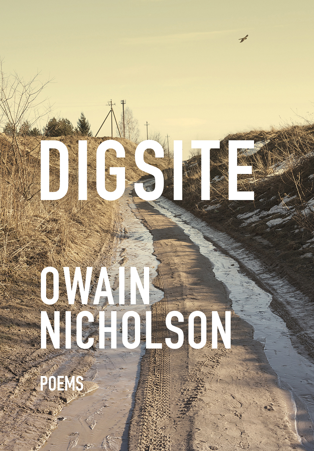 Digsite by Owain Nicholson | Goodreads