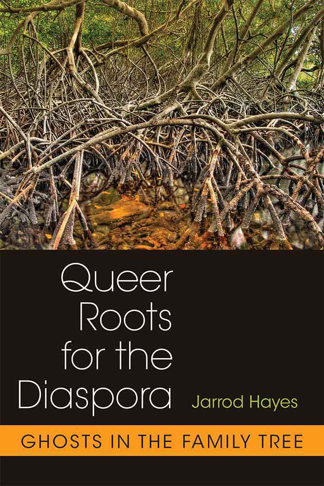 Queer Roots for the Diaspora: Ghosts in the Family Tree by Jarrod Hayes ...