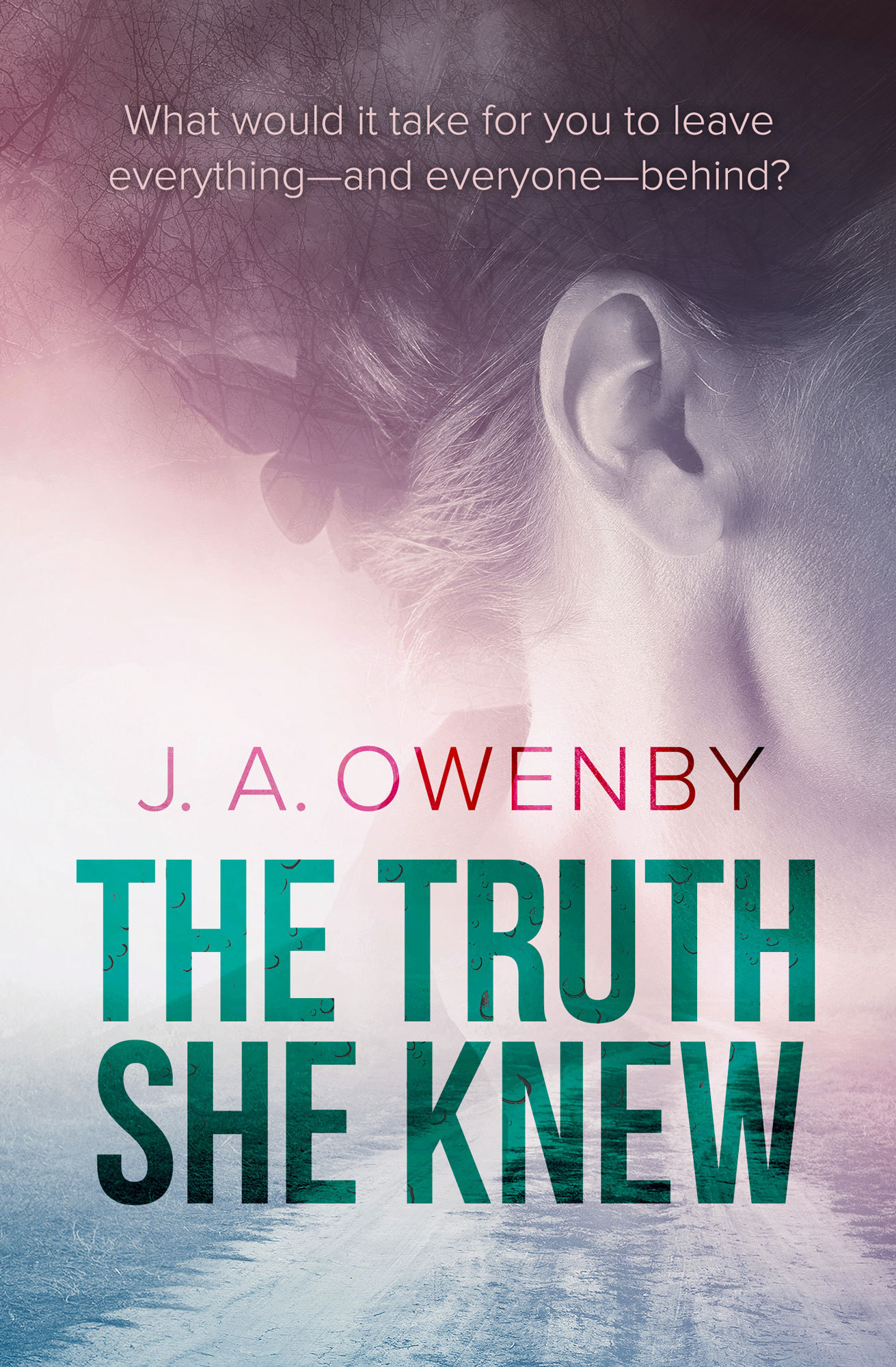 The Truth She Knew (The Truth Series #1) by J.A. Owenby | Goodreads