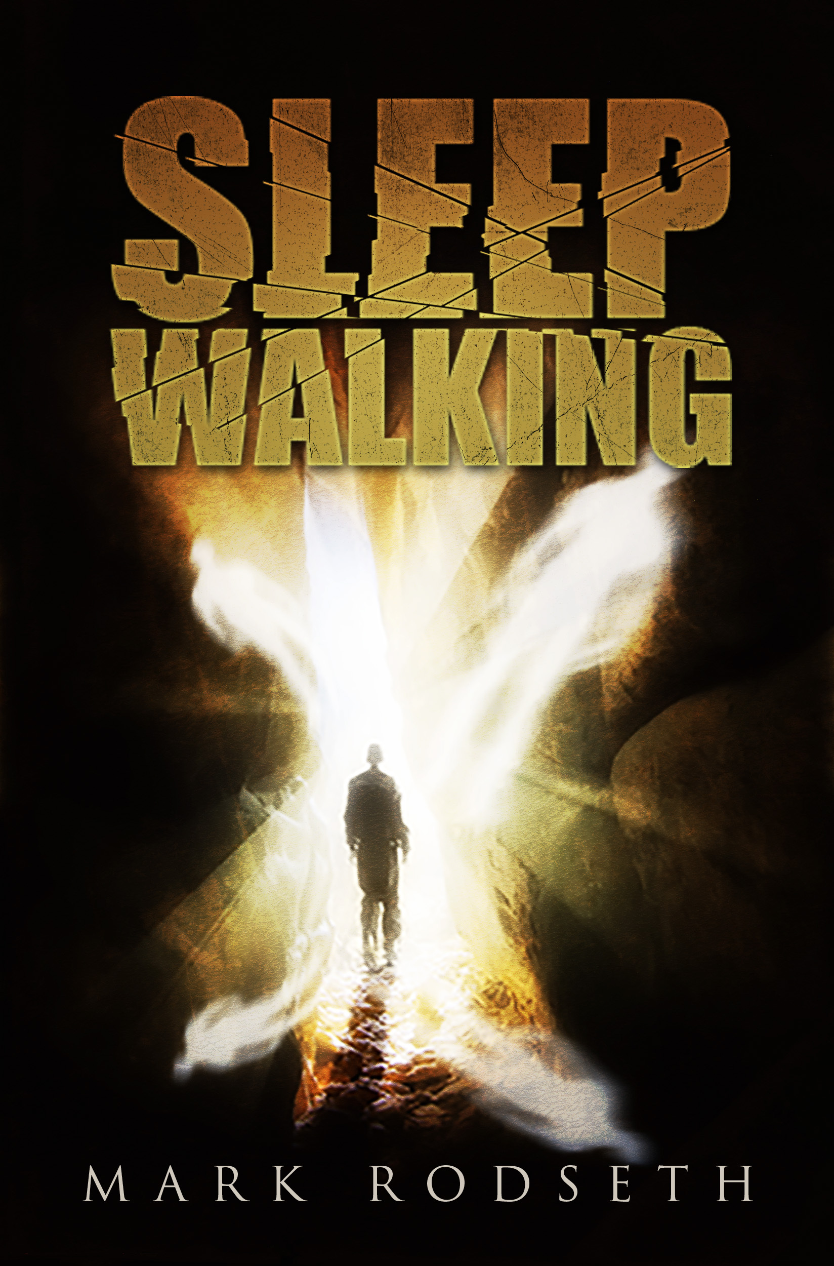Sleepwalking by Mark Rodseth | Goodreads