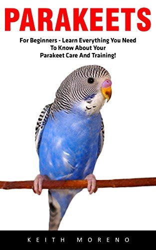 Parakeets: For Beginners - Learn Everything You Need To Know About Your ...