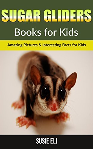 Sugar gliders: Amazing Pictures & Interesting Facts for Kids by Susie ...