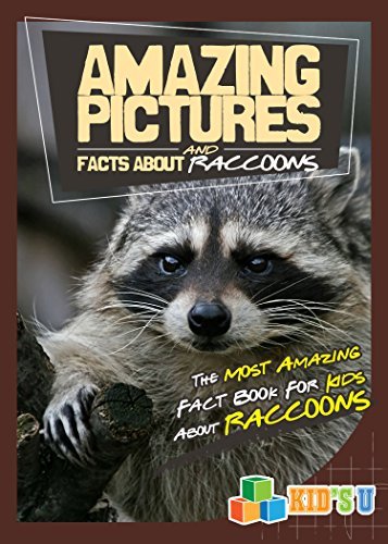 Amazing Pictures and Facts About Raccoons: The Most Amazing Fact Book ...