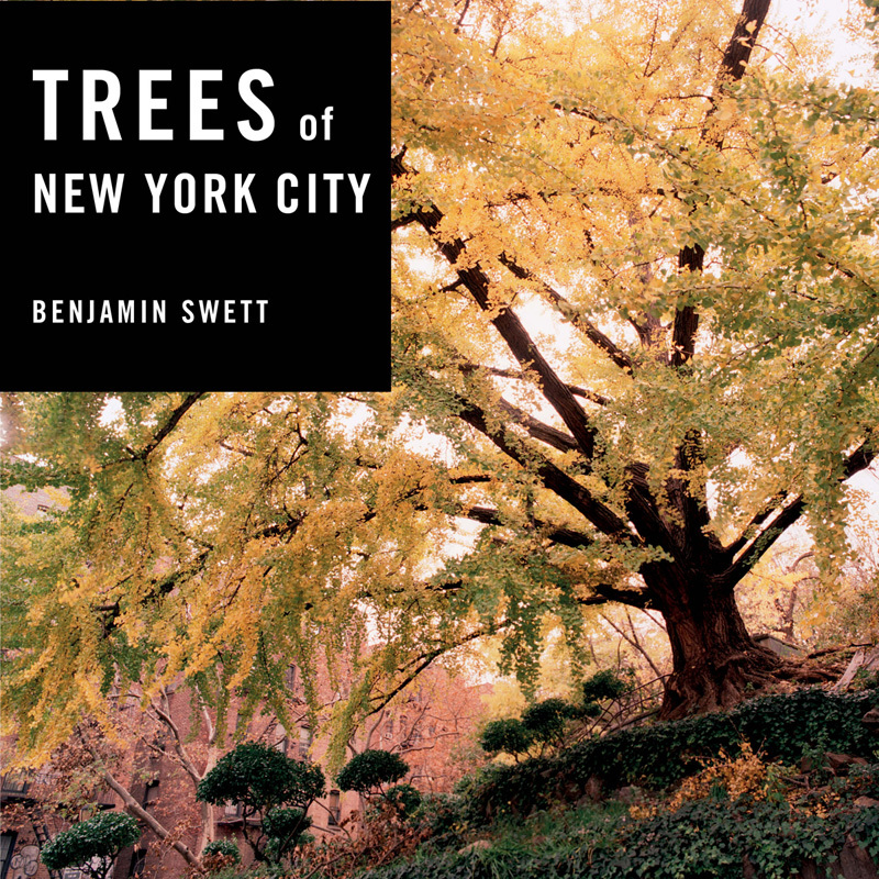 Trees of New York City by Benjamin Swett | Goodreads