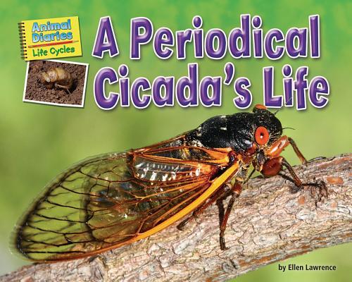 A Periodical Cicada's Life by Ellen Lawrence | Goodreads