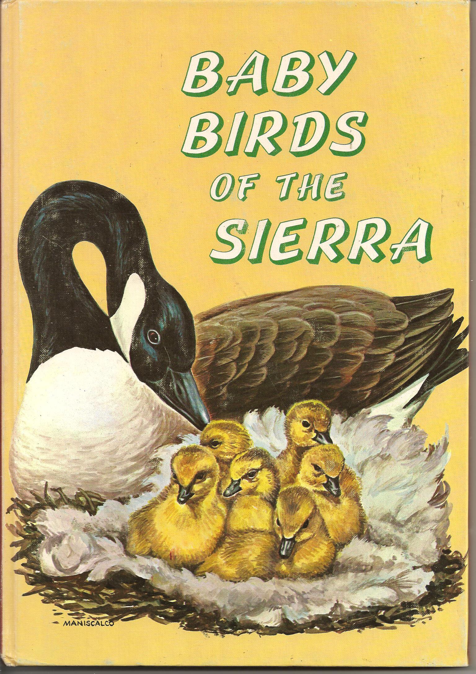 Baby Birds of the Sierra by Joe Maniscalco | Goodreads