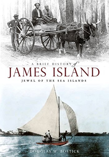 A Brief History of James Island: Jewel of the Sea Islands by Douglas W ...