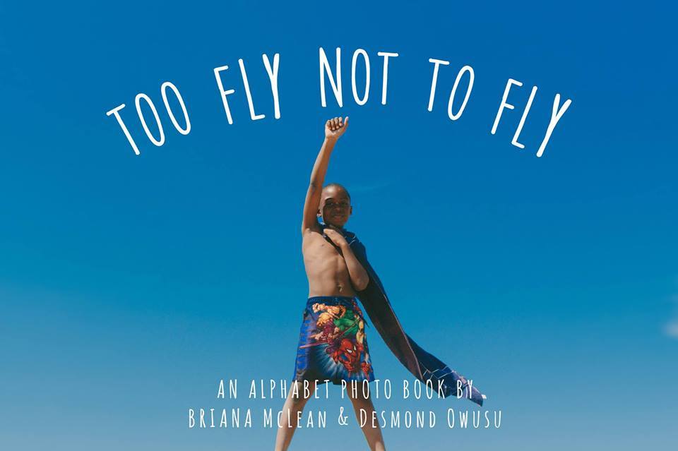 Too Fly Not To Fly by Briana McLean | Goodreads