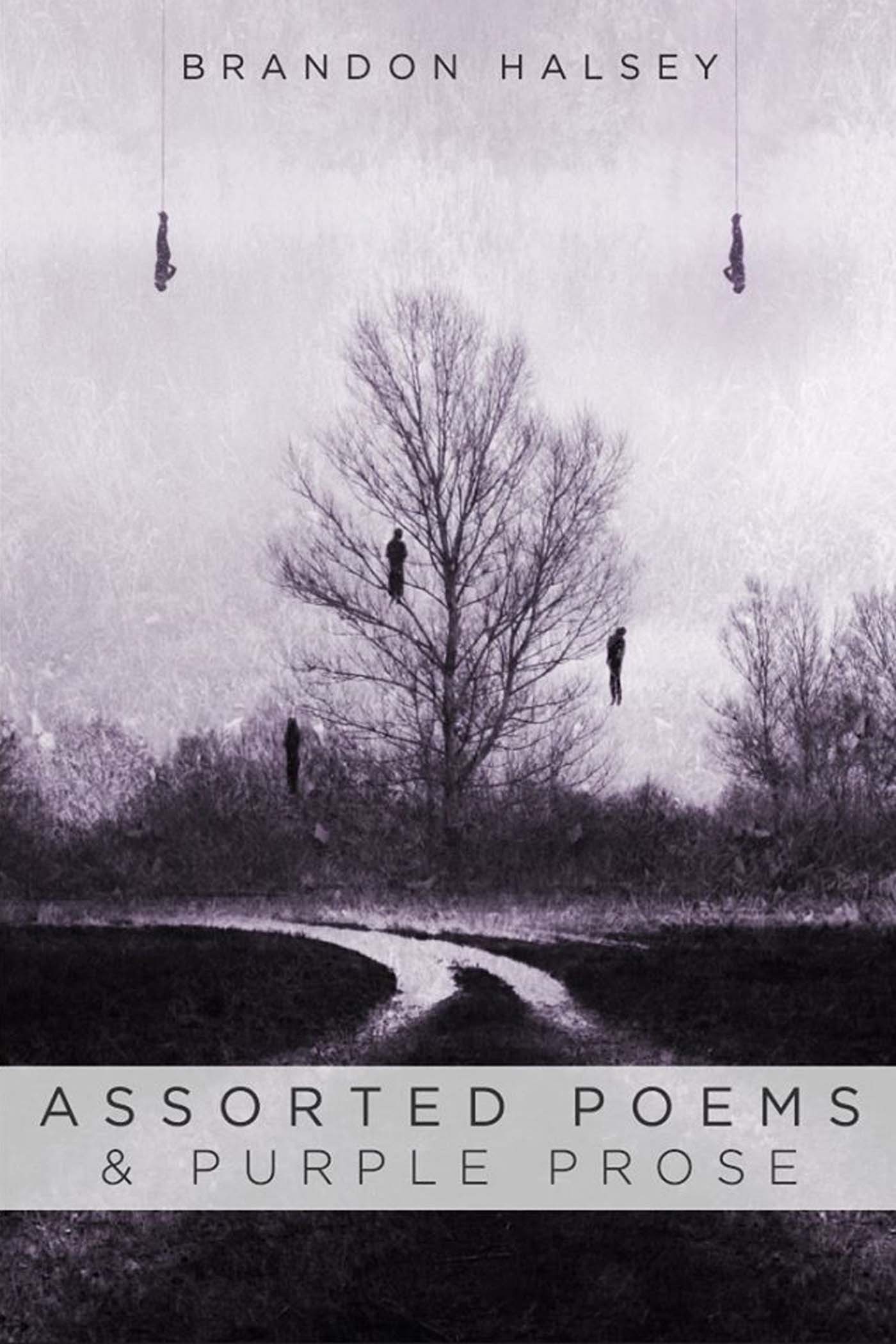 Assorted Poems and Purple Prose by Brandon Halsey | Goodreads