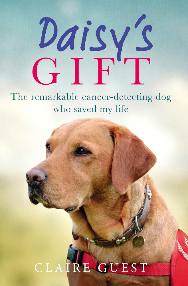Daisy’s Gift: The Remarkable Cancer-Detecting Dog Who Saved My Life by ...