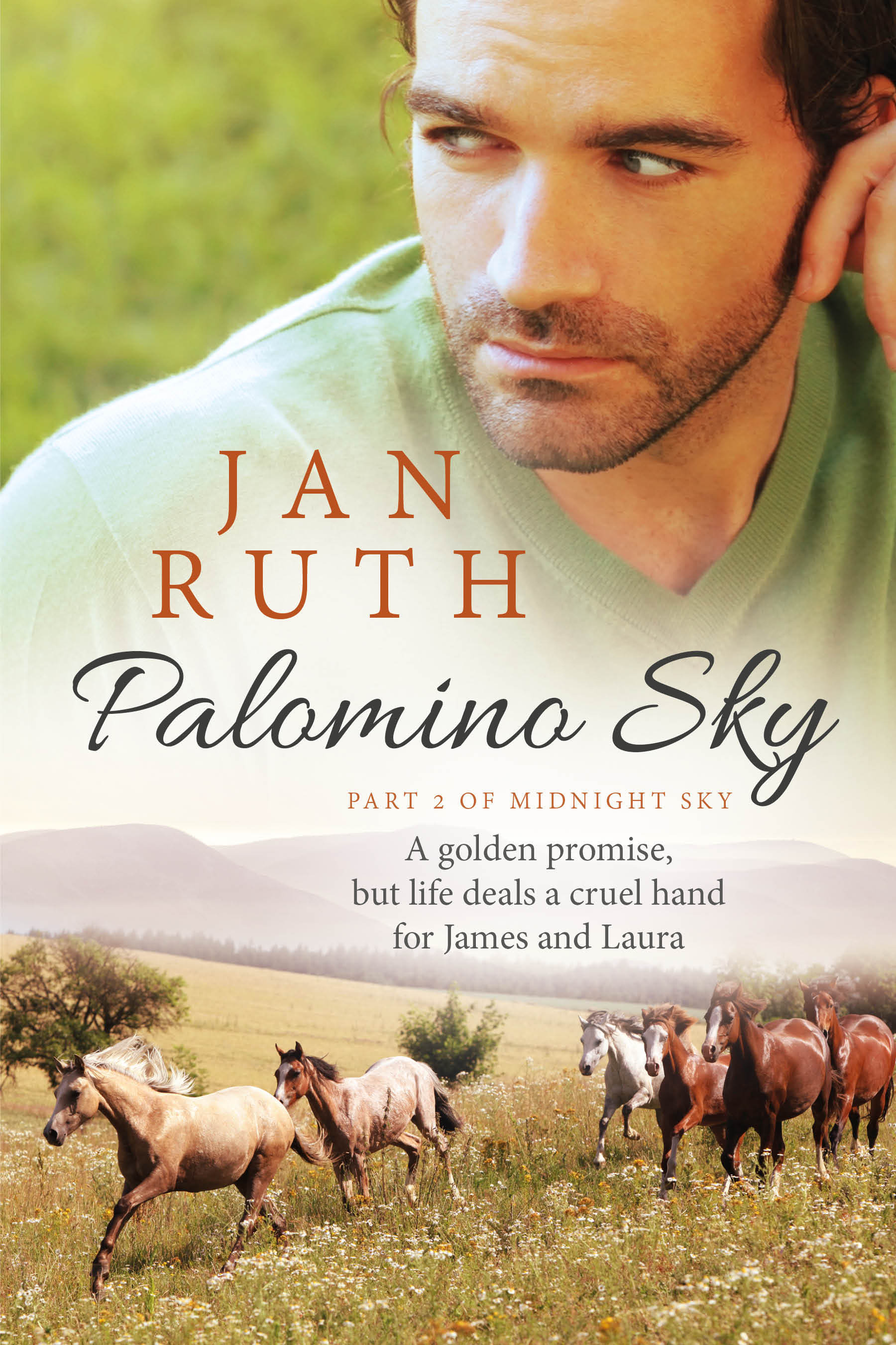 Palomino Sky (The Midnight Sky Series: #2) by Jan Ruth | Goodreads