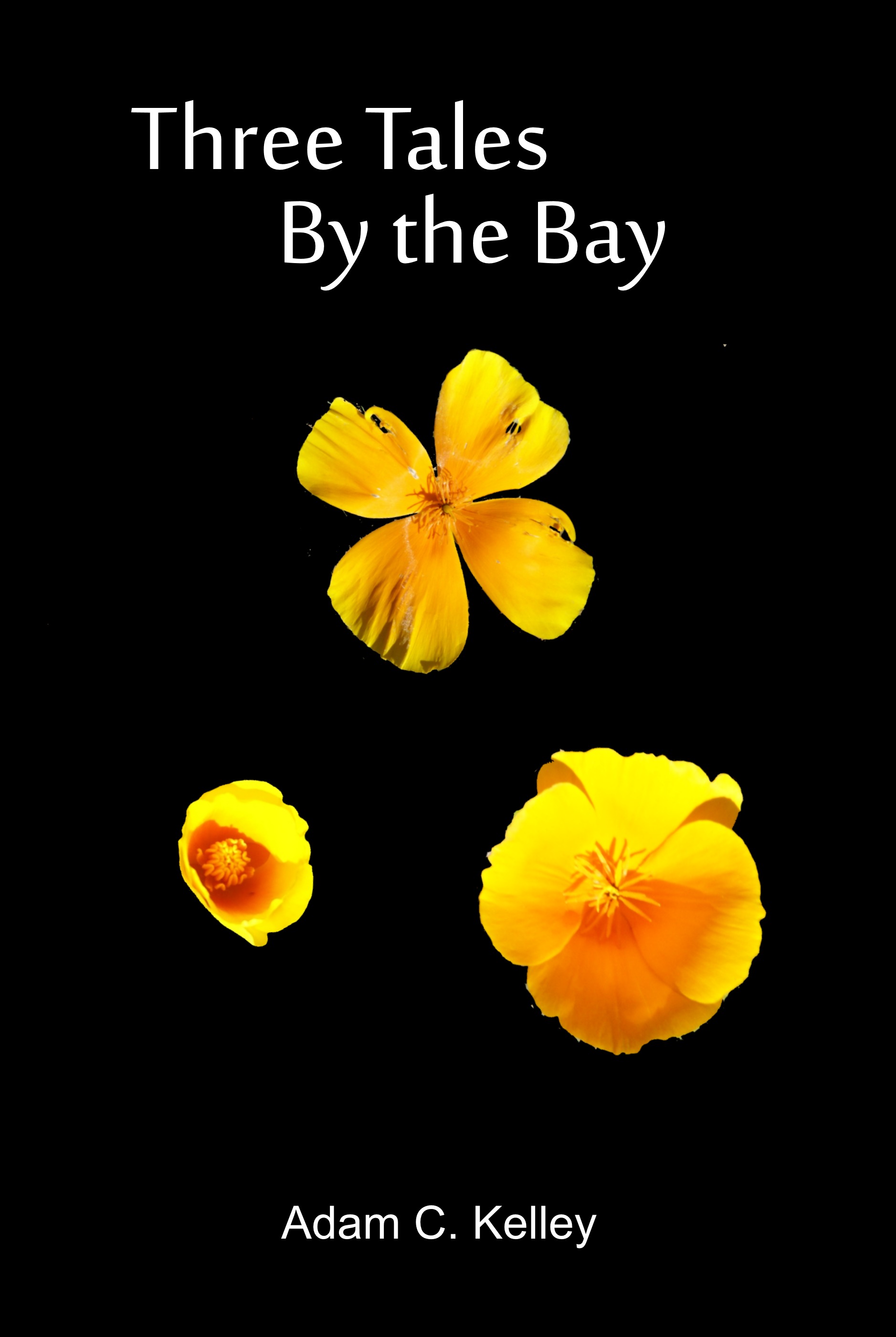 Three Tales By the Bay by Adam C. Kelley | Goodreads