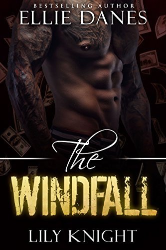 The Windfall by Ellie Danes | Goodreads