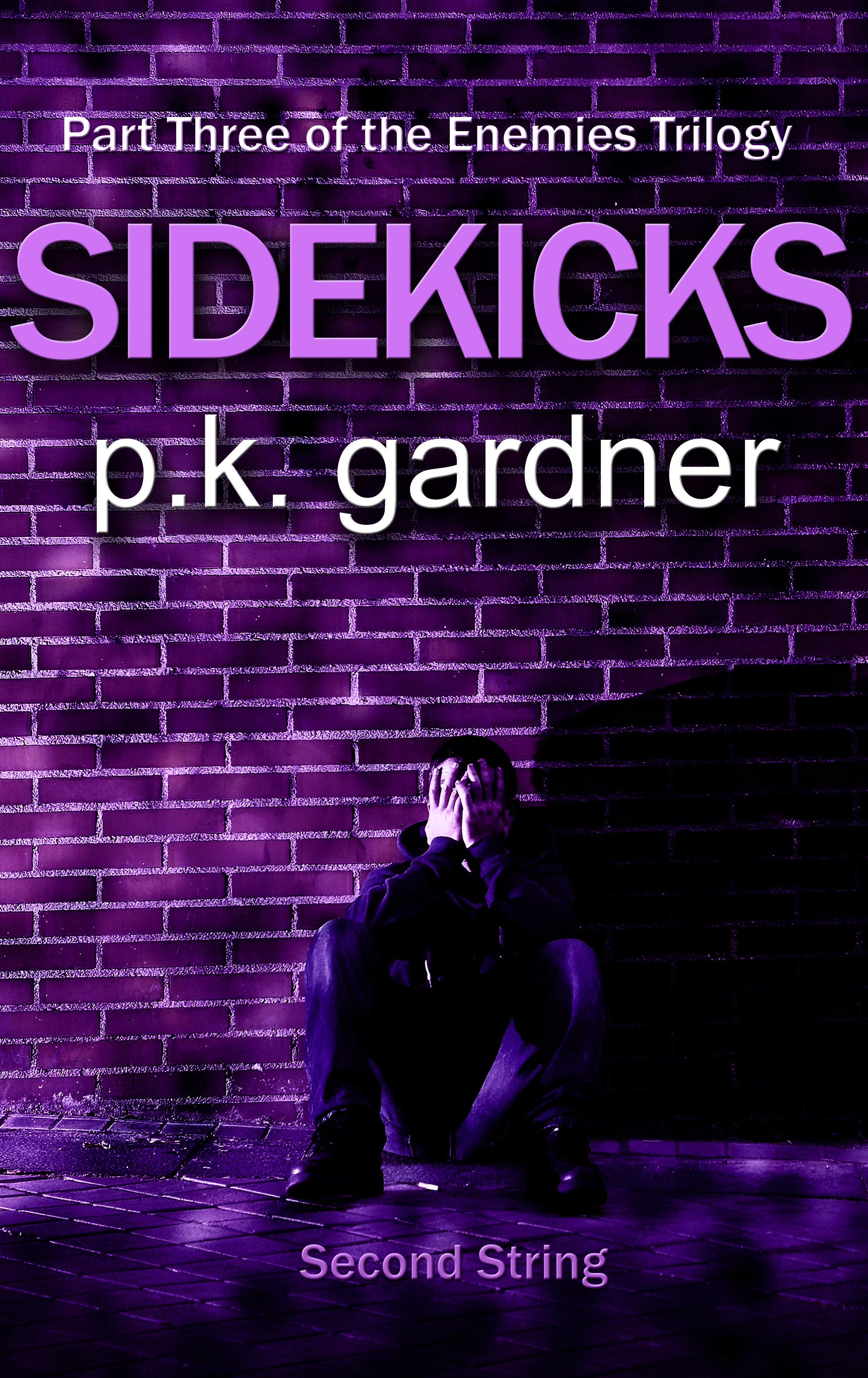 Sidekicks (The Enemies Trilogy #3) by P.K. Gardner | Goodreads
