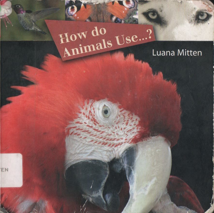 How Do Animals Use...? (Rourke Board Books) by Luana K. Mitten | Goodreads