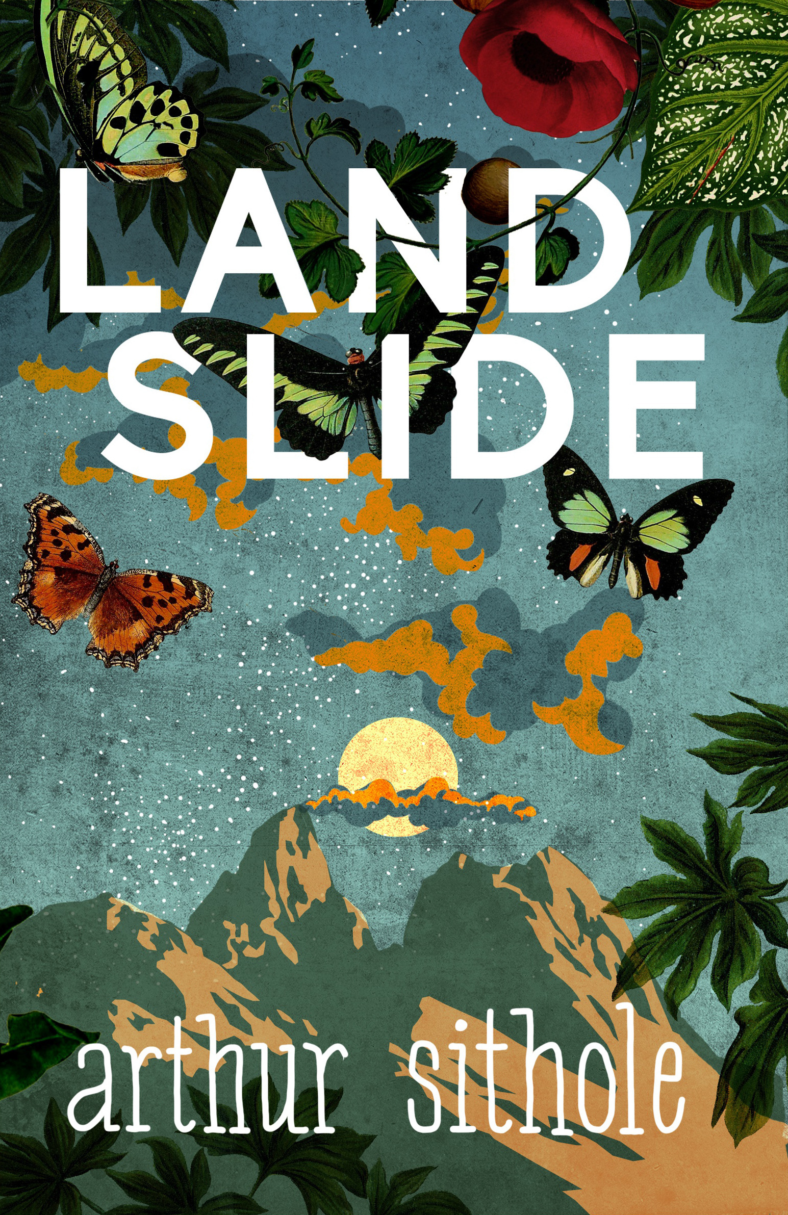 Landslide by Arthur Sithole | Goodreads