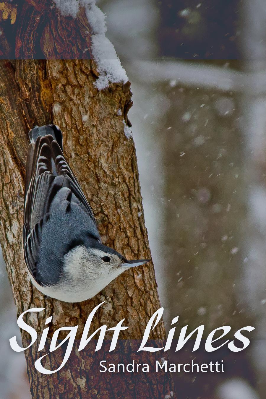 Sight Lines by Sandra Marchetti | Goodreads