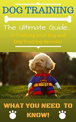 DOG TRAINING: Puppy and Dog Training Guide for Beginners and Dog ...