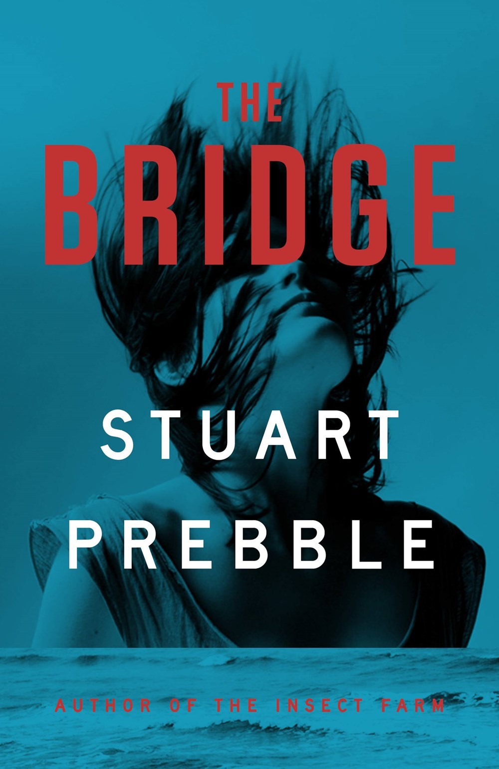 The Bridge by Stuart Prebble | Goodreads