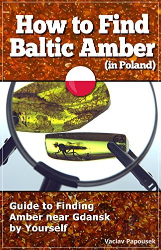 How to Find Baltic Amber in Poland near Gdansk: Short (Travel) Guide to ...