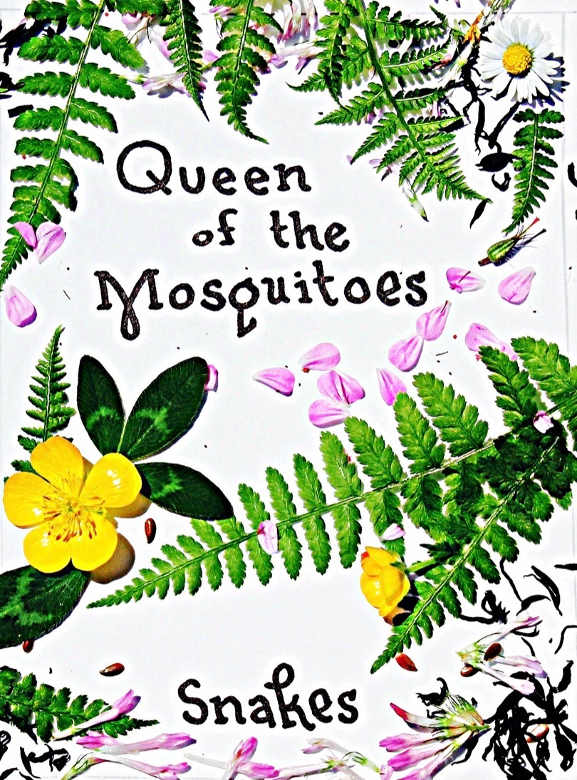 Queen of the Mosquitoes by Snakes | Goodreads