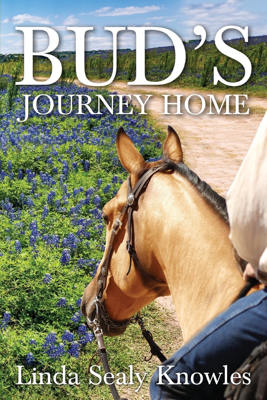 Bud's Journey Home by Linda Sealy Knowles | Goodreads