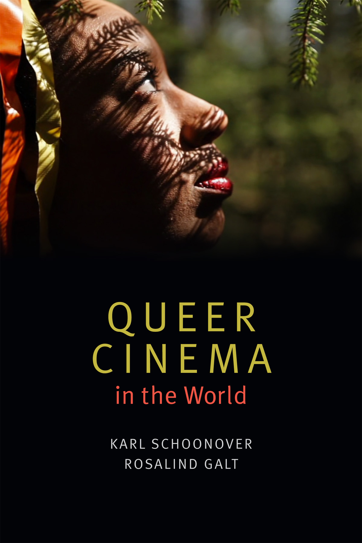 Queer Cinema in the World by Karl Schoonover | Goodreads