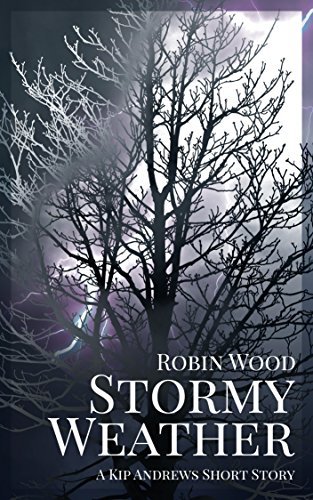 Stormy Weather: A Kip Andrews Story by Robin Wood | Goodreads