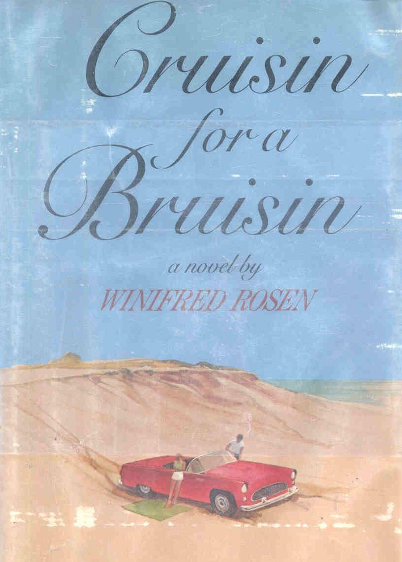 Cruisin for a Bruisin by Winifred Rosen Casey | Goodreads