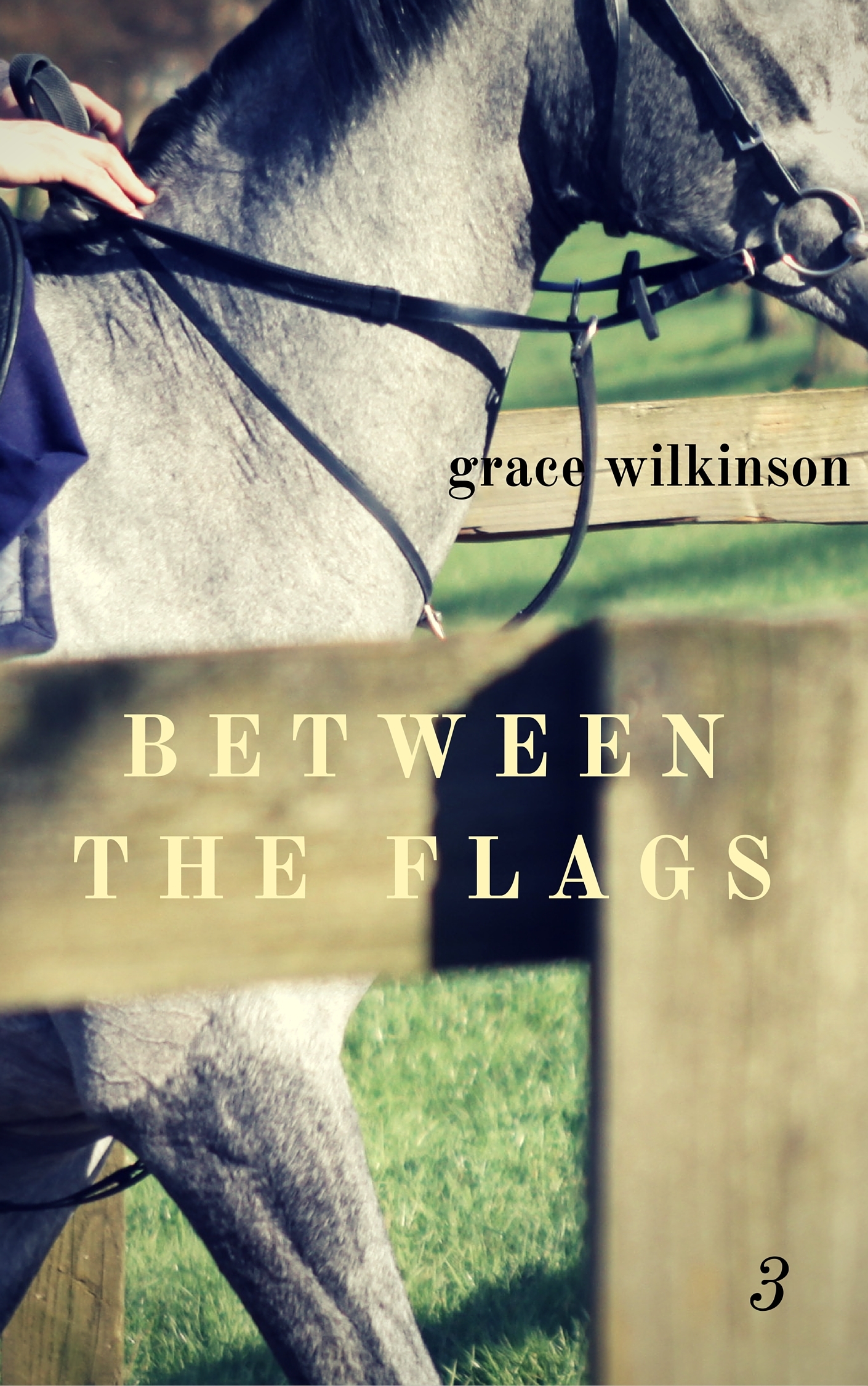 Between the Flags (Loxwood, #3) by Grace Wilkinson | Goodreads