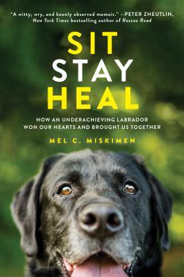 Sit Stay Heal: How an Underachieving Labrador Won Our Hearts and ...