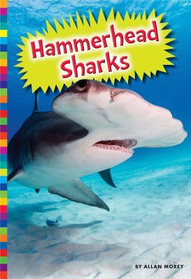 Hammerhead Sharks (Sharks) by Allan Morey | Goodreads