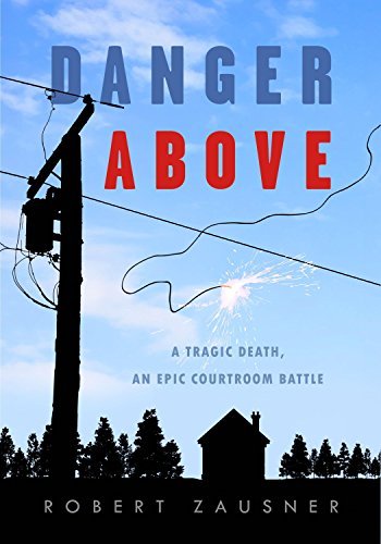 Danger Above: : A Tragic Death, An Epic Courtroom Battle by Robert ...