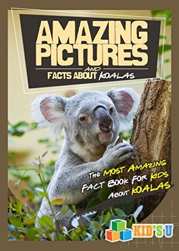 Amazing Pictures and Facts About Koalas: The Most Amazing Fact Book for ...