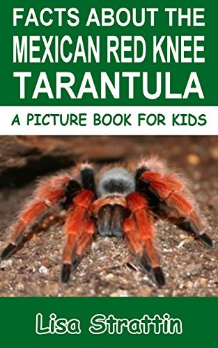 Facts About The Mexican Red Knee Tarantula by Lisa Strattin | Goodreads