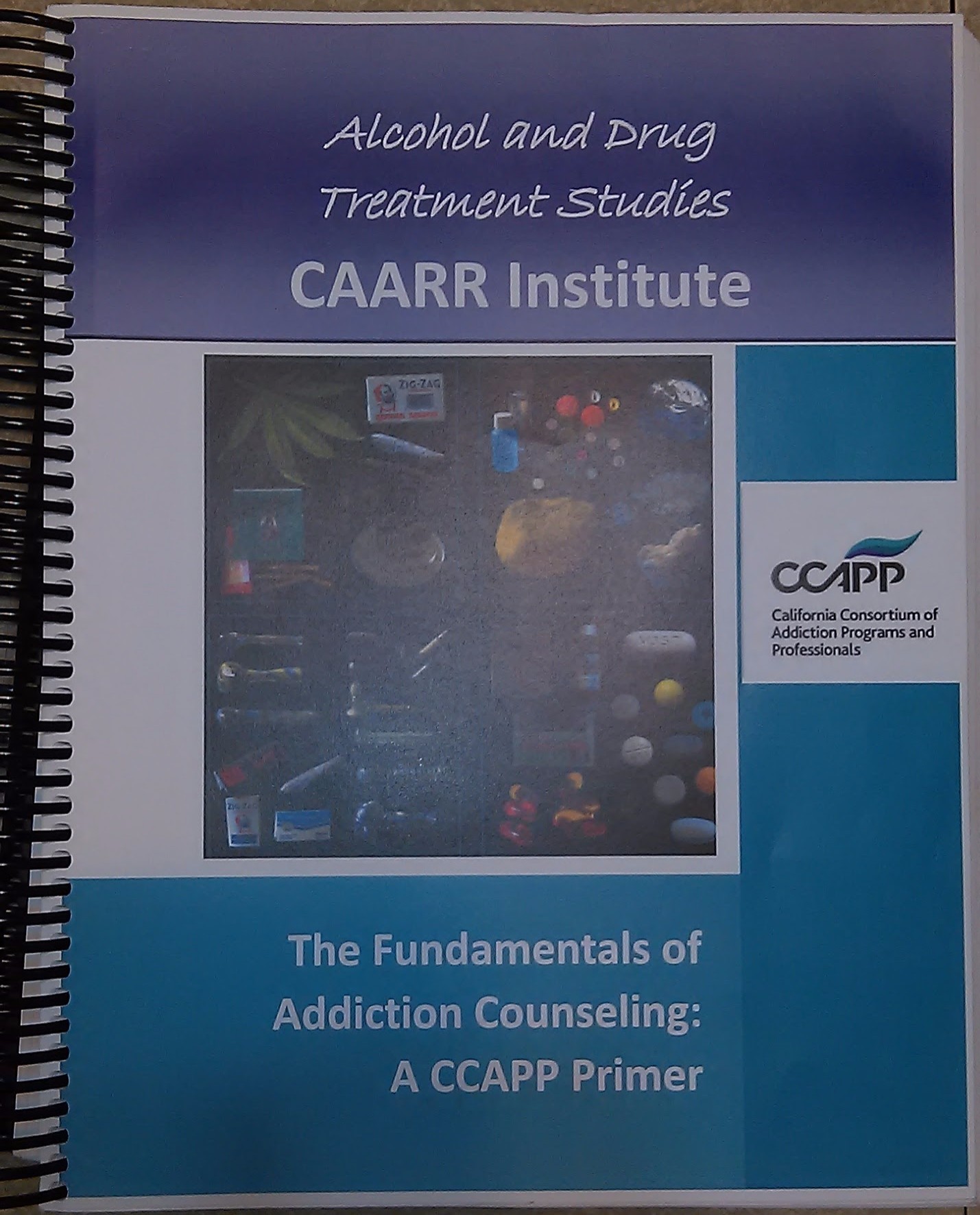 The Fundamentals of Addiction Counseling: A CCAPP Primer by Kevin R ...