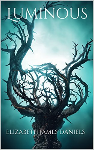 Luminous: A Young Adult Paranormal Romance (Luminous Trilogy Book One ...