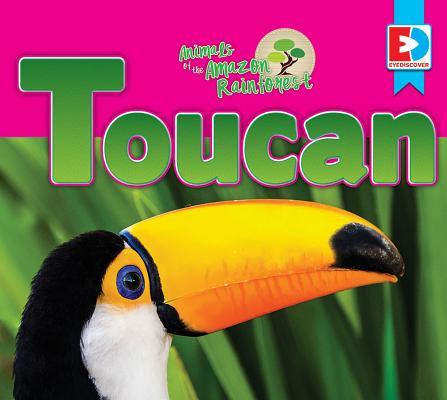 Toucan (Animals of the Amazon Rainforest) by Katie Gillespie | Goodreads